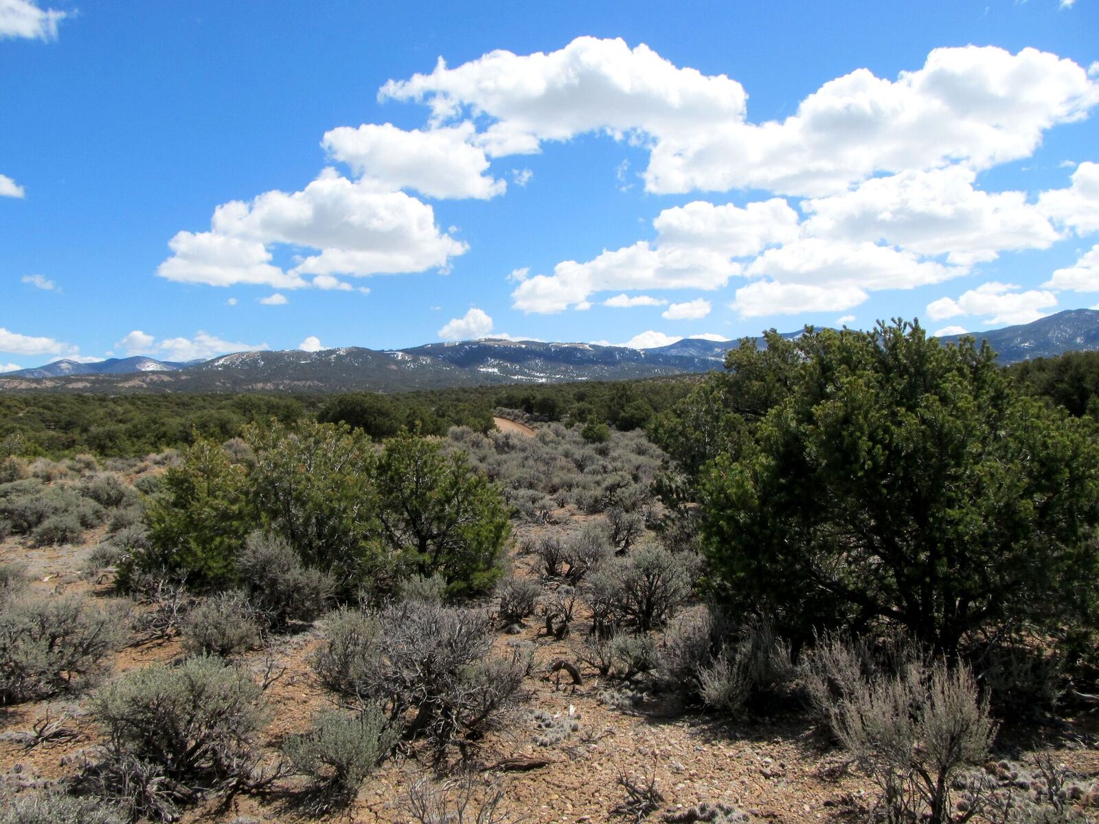 SOLD: Beautiful 5 Acre Lot – Treed and Slightly Hilly – Westward Land